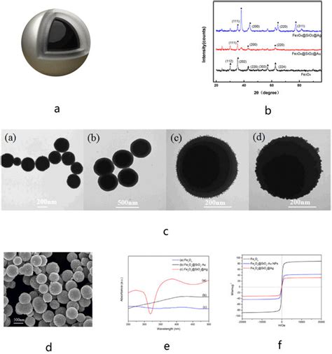 Characterization Of Fe3o4 Sio2 Ag Magnetic Particles A Schematic Of Download Scientific