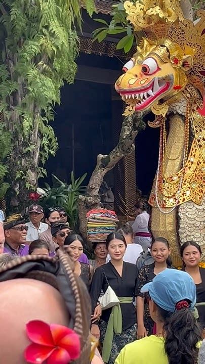 Pesona Cewe Bali 😍😍 Viral Youtube