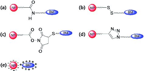 Bioconjugation Strategies For Attachment Of Biomolecules Bm To The Download Scientific
