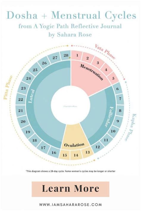 Kill Sinus Infection Menstrual Cycle Menstrual Reflective Journal
