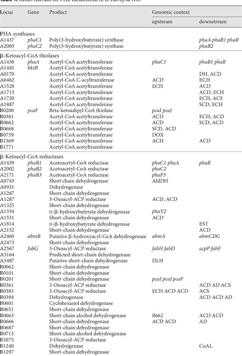 Table 1 From Ralstonia Eutropha Strain H16 As Model Organism For Pha Metabolism And For