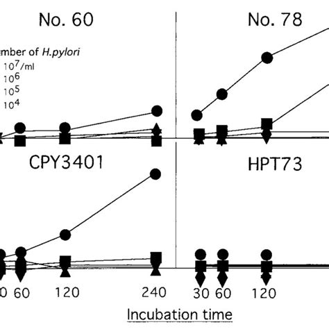 Urease Activity Of H Pylori Strains Each Strain Of H Pylori Was Download Scientific Diagram