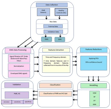 Flow Chart For The Classification Process Download Scientific Diagram
