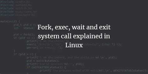 Fork Exec Wait And Exit System Call Explained In Linux Vitux
