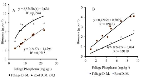 Accumulated Phosphorus In Corn Foliage And Its Relationship With