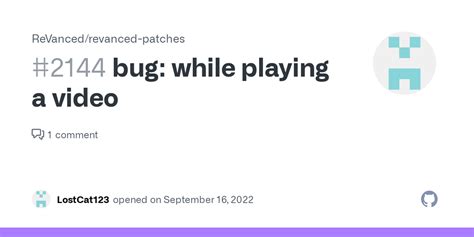 Bug While Playing A Video · Issue 2144 · Revancedrevanced Patches · Github