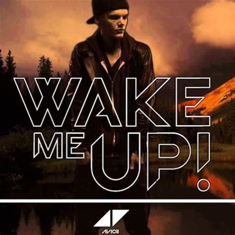 Avicii Wake Me Up Lyric Video Music Video 2013 Plot Imdb