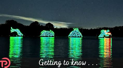 Five Things To Know About The Electrical Water Pageant Touringplans