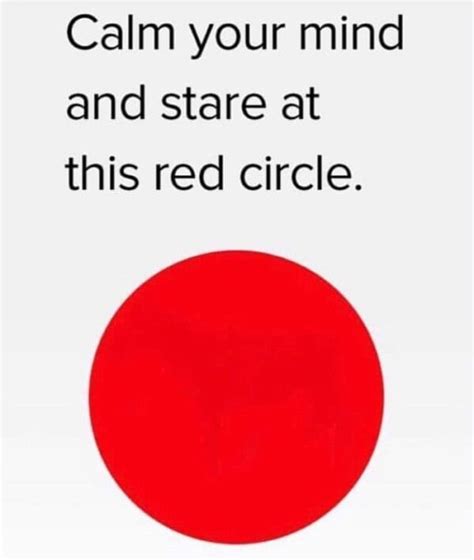 43 Optical Illusion Memes That Will Totally Mess With Your Eyes