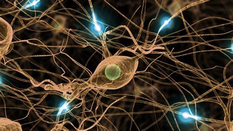 El Reino Unido Realizará Un Ensayo Para Determinar Si La Droga Psicodélica Dmt Puede Ser Usada