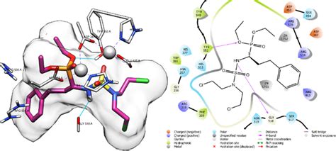 Interaction Diagram And 3d Docking Pose Of Compound 3e In The Binding