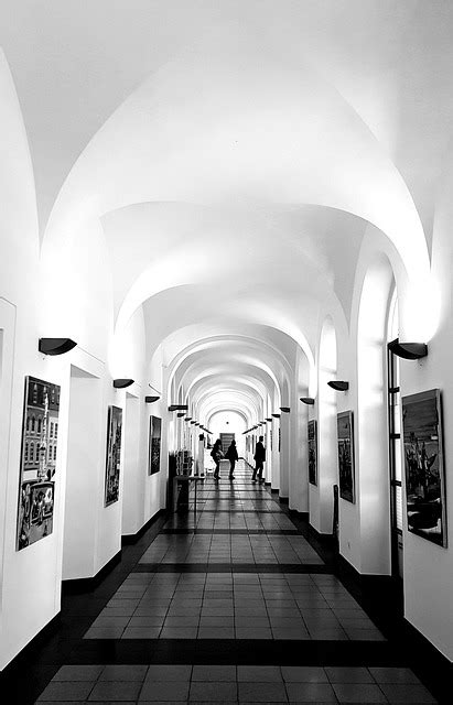 Building Of A Public Nature Class 9 Amoeba