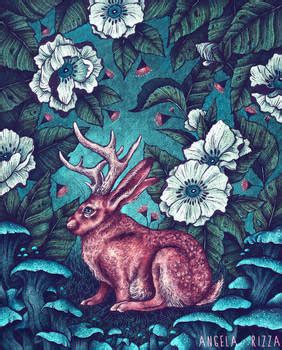 Explore The Best Jackalope Art Deviantart