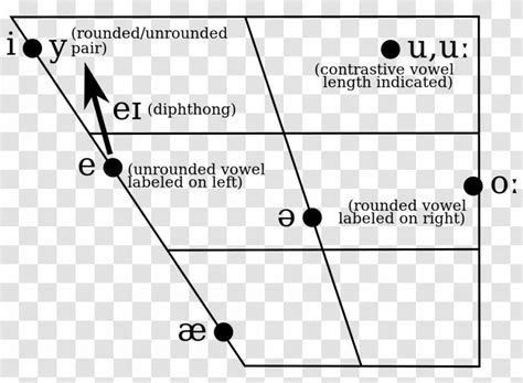 Parts Of Vowel Shift At Mary Murrow Blog