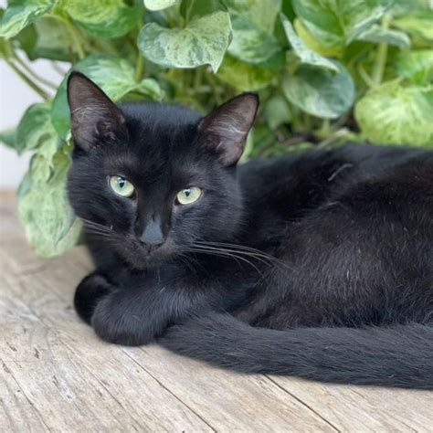 🦋 𝖒𝖔𝖓𝖆 🦋 M0nagirl • Threads Say More