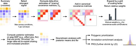 Mash Estimates Data Drive Covariance Patterns Of True Genetic Effects