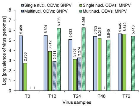Results Of Qpcr Quantification Of Genome Copy Number For Hearsnpv And Download Scientific
