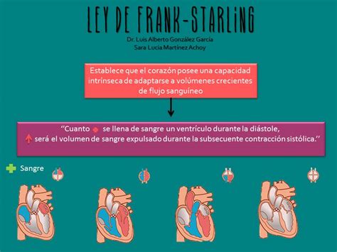 Ley De Frank Starling Portafolio De Evidencias De La Materia De