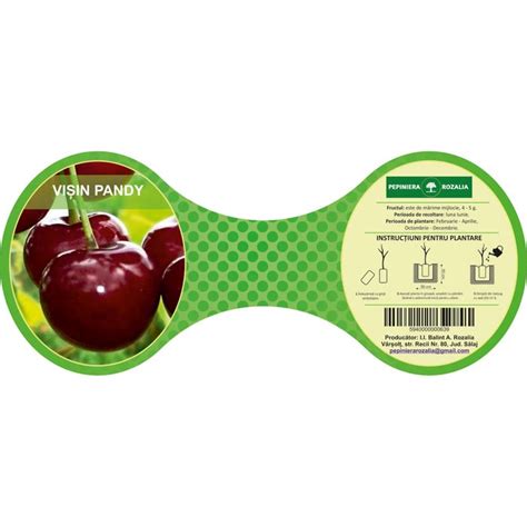 Pomi Fructiferi Visin Pandy 3734 Dedeman