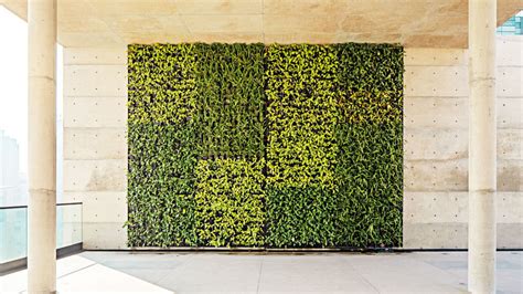 Building Green Saving Green The Daily Star