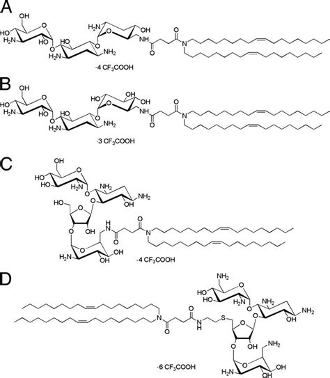 Structure Of The Lipidic Aminoglycoside Derivatives A Dost B