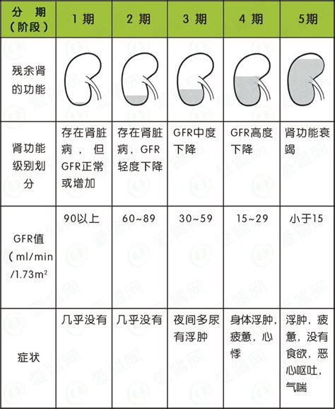 科普宣教 蛋白尿、肌酐和尿毒症的关系，99的肾友都搞错了