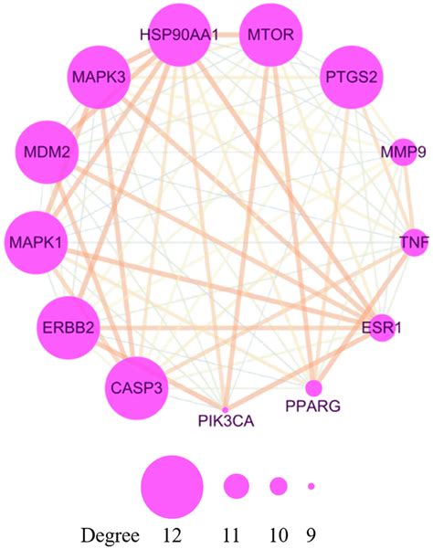 String Database Network At Stanley Blake Blog