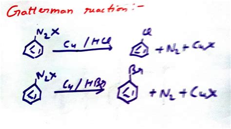 Gattermann Reaction Class 12 Chemistry Amines By Easychem Youtube