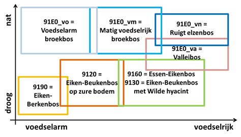 Ecogram Van De Bosnatuurstreefbeelden In Vlaanderen Ecopedia