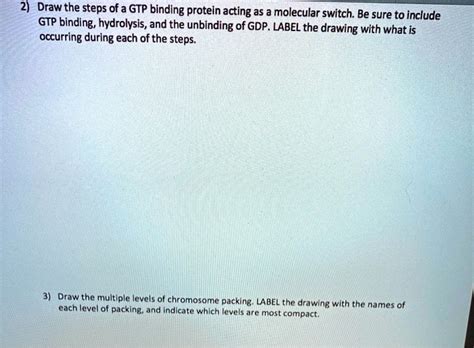 Solved Draw The Steps Of A Gtp Binding Protein Acting As A Molecular