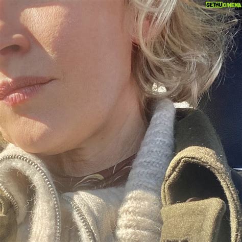 Gretchen Mol Wiki Biography Age Gallery Spouse And More