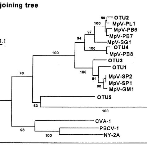 Flowchart Of Pcr Primer Design Chart Shows The Order Of Steps Taken To