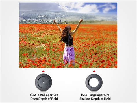 focusing basics aperture and depth of field