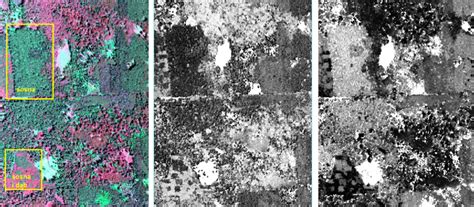 Comparison Between Cir Image And Sam Classification Results For Oak