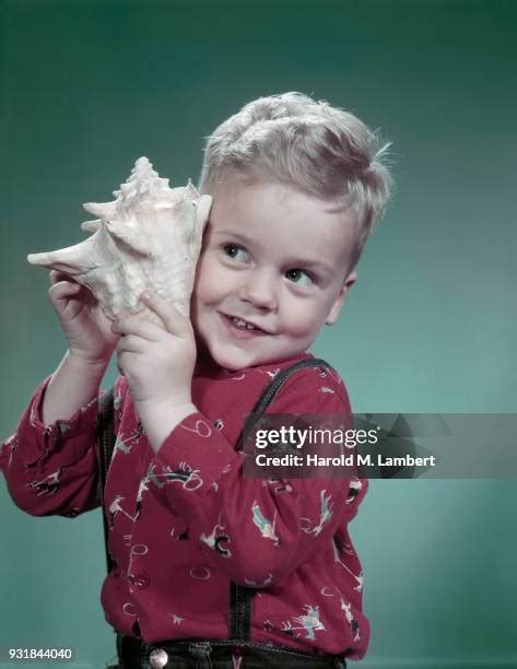 White Conch Shell Photos And Premium High Res Pictures Getty Images