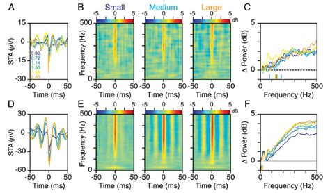 Spike Triggered Average In Time Frequency Domain During Stimulus Download Scientific Diagram
