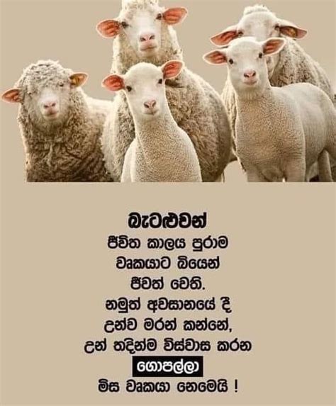 Nilantha Amarasinghe Posted On Linkedin