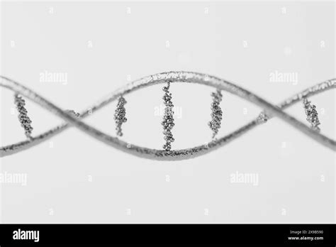 Medical Research Of Human Genome Concept Human Dna Molecule Code Extreme Closeup On A White