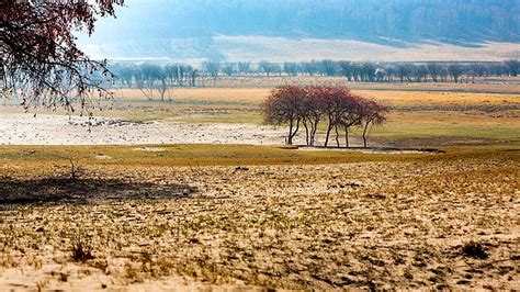 Prospect Of Autumn On Inner Mongolia Grassland Background Grassland