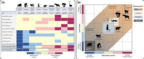 Figure 1 From The Eco Evolutionary Landscape Of Power Relationships