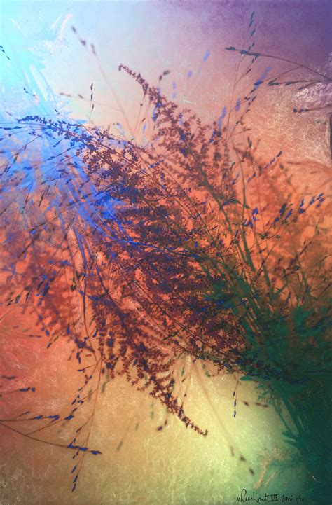 Waving Grass On Behance