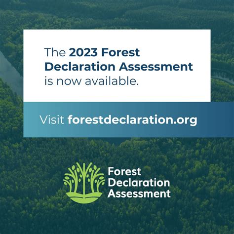 New Report The 2023 Forest Declaration Assessment Is Out Now And The