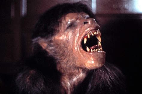 The 25 Best Werewolf Movies Of All Time Ranked