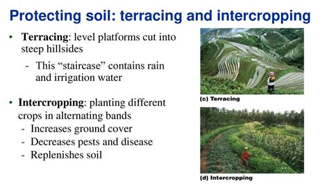 Knowing The Hazards Ecosystem Services Ppt Download