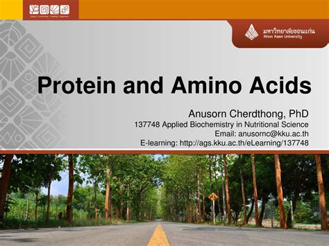 Chemistry Of Proteins And Amino Acids Ppt At Liam Edgar Blog