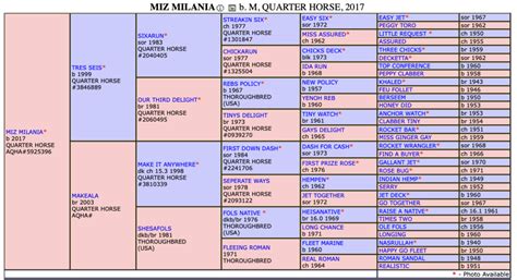 Katie Jo Halbert Trusts Bigger Plan Wins Sisters Or Barrel Racing