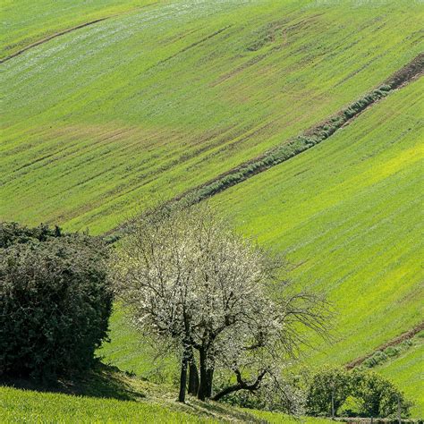 Hexenal Green Grass Molecule 10ml Scentscientists