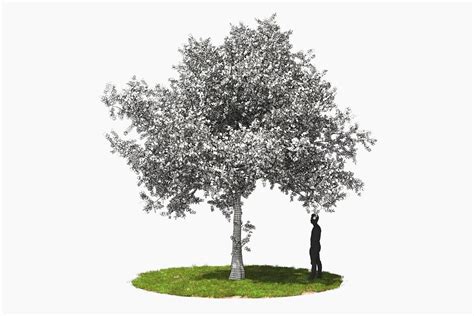 Wind Tree Animation D Model Max Unknown Obj Fbx Free D