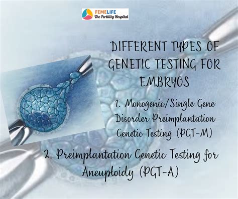 Different Types Of Genetic Testing For Embryos After Embryo Transfer