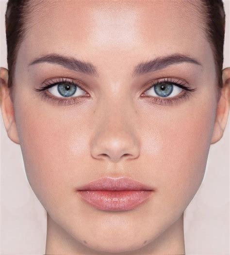 Face Anatomy Diagram Quizlet
